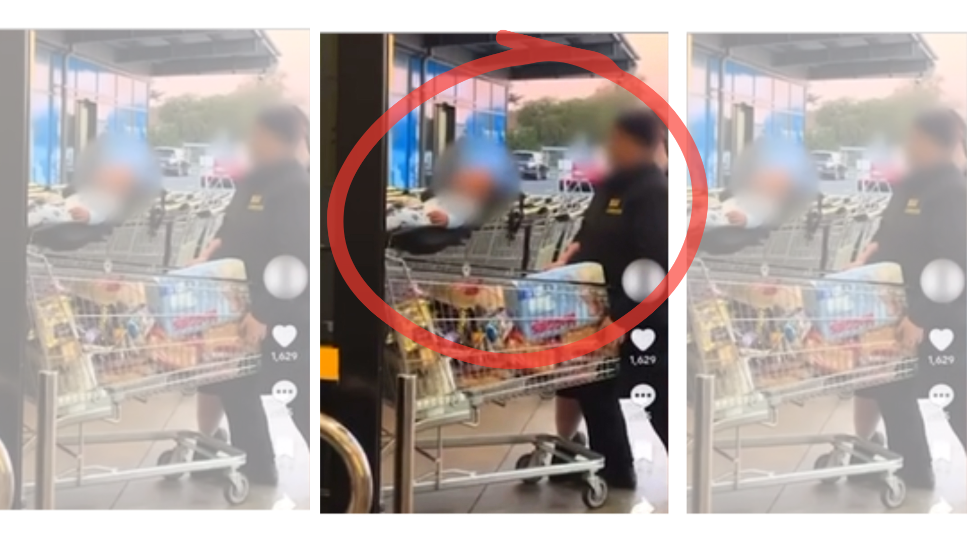 Pak'nSave Tamatea Staff Stop Shoplifting Mum with Baby