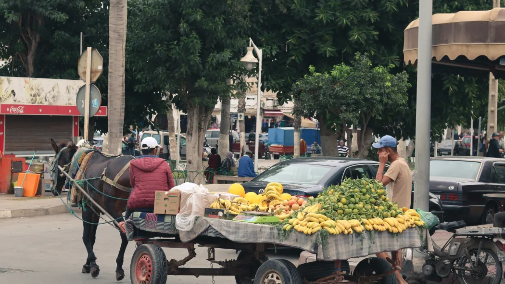 Missing Pieces: The Motivations Behind Indian Migration