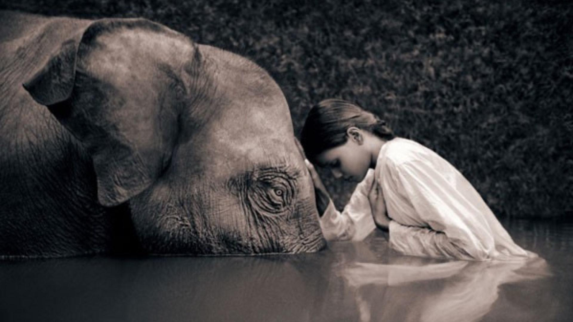 The True Measure Of Strength