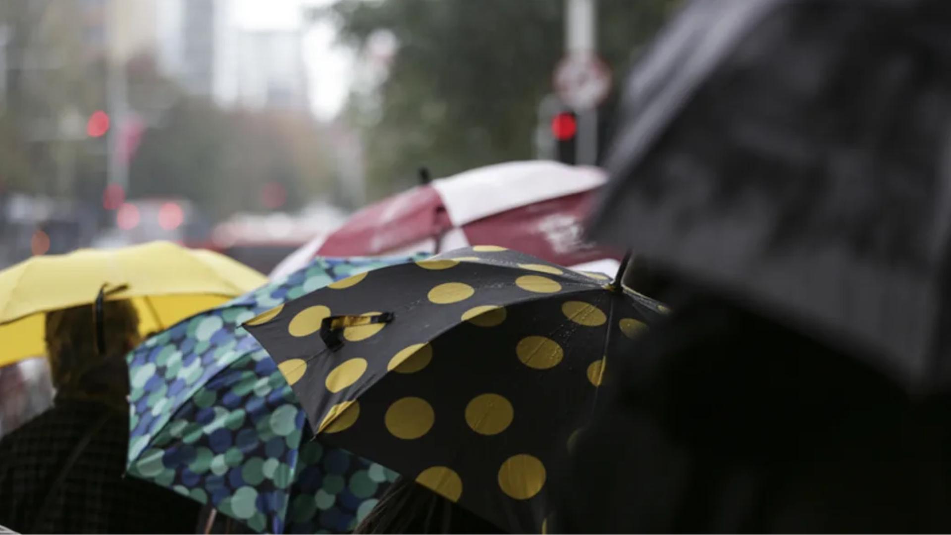 Heavy Rain & Gales For Northern Parts Of The North Island