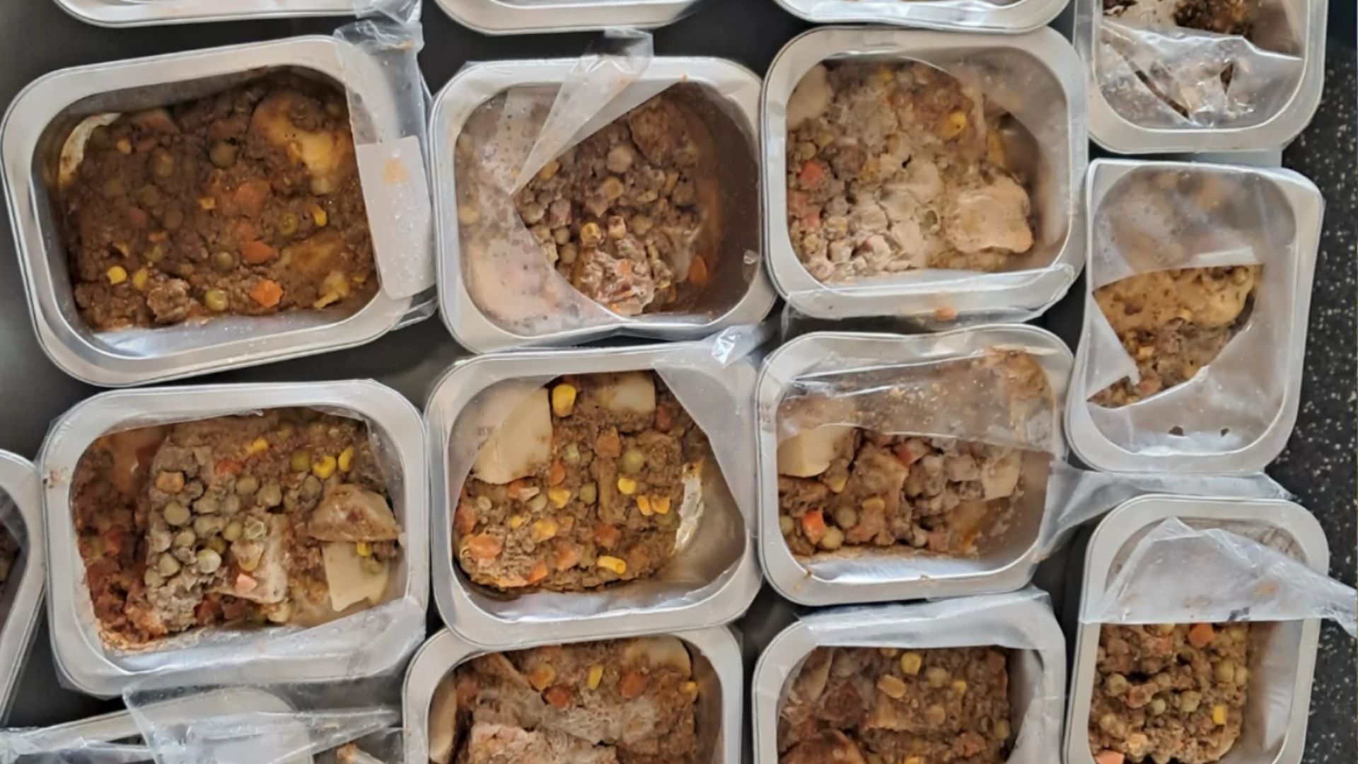Contaminated School Lunch Sparks Urgent Warning in NZ